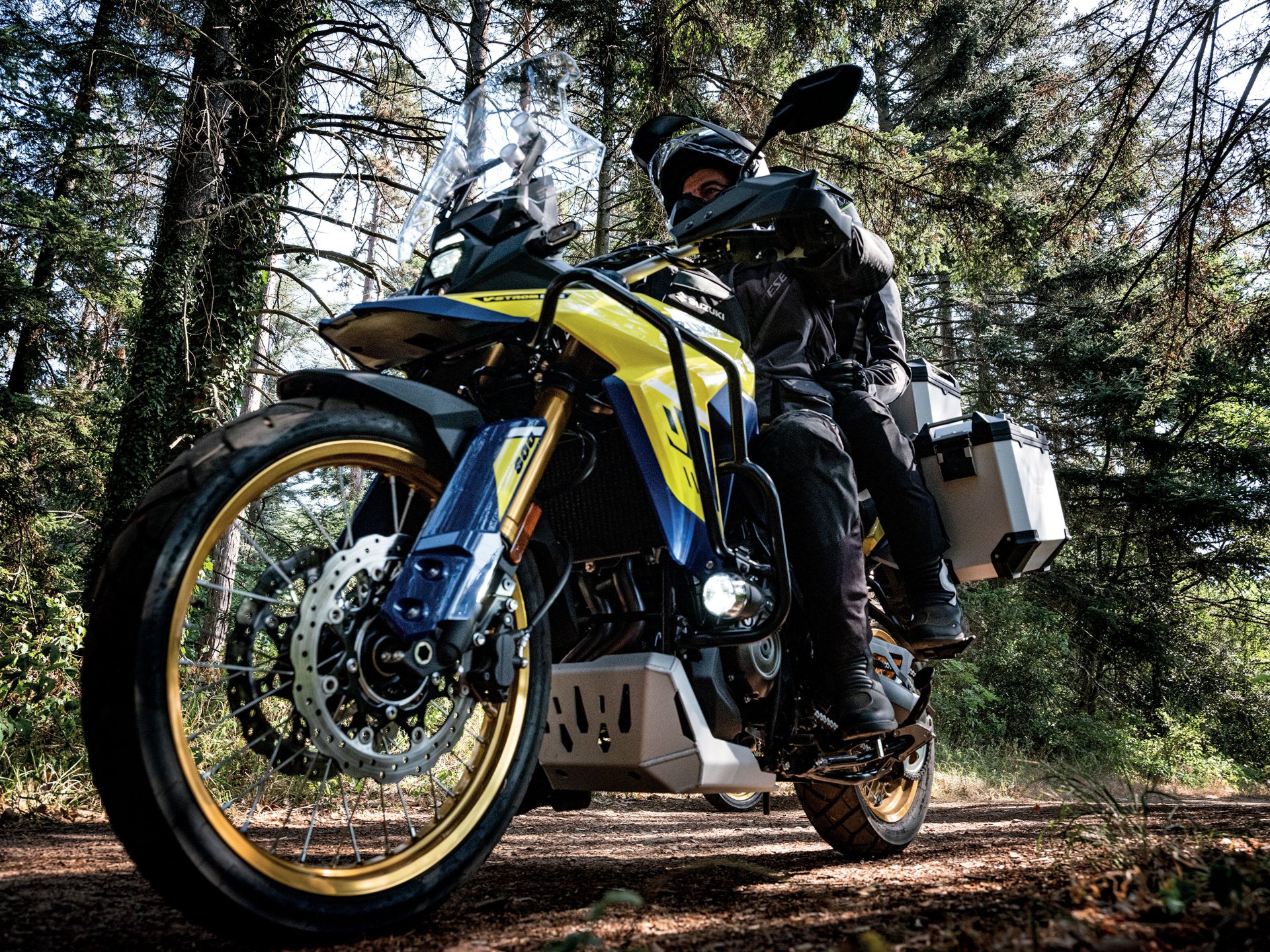 V-Strom 800 DE